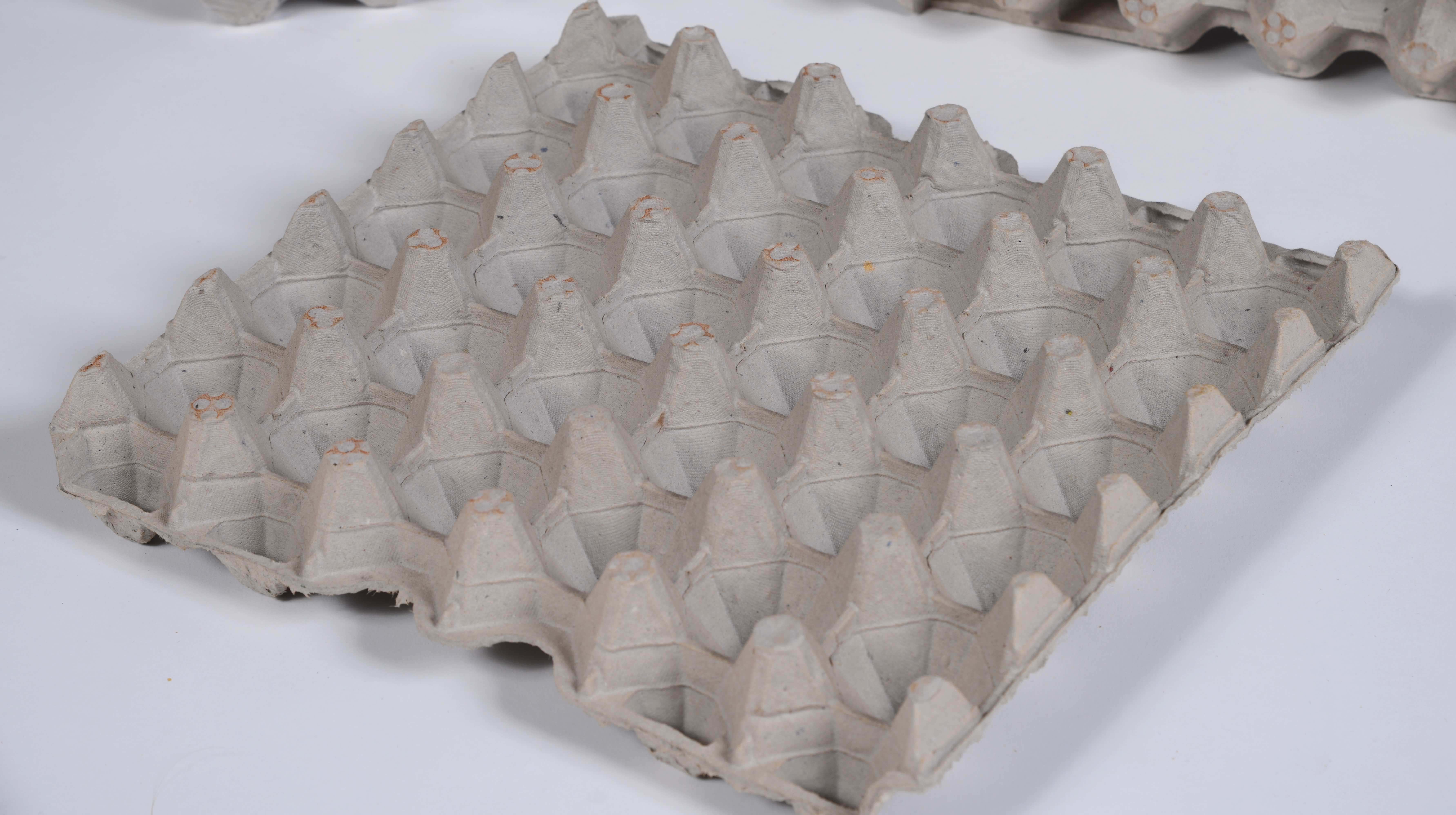 Coast Packaging - Shop Online